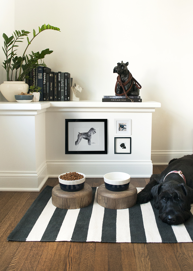 For The Dog Lovers Room For Tuesday