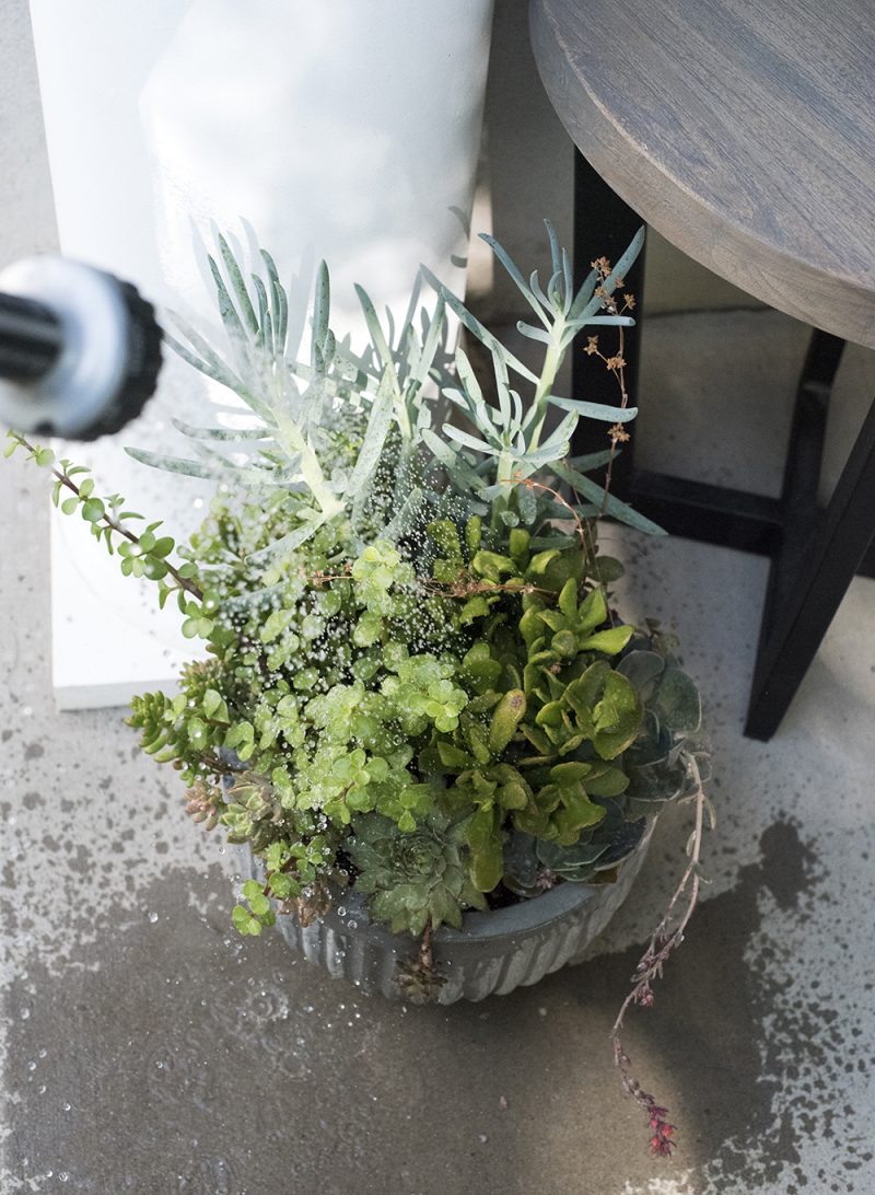 Our Lawn Care & Landscaping Routine - Room for Tuesday