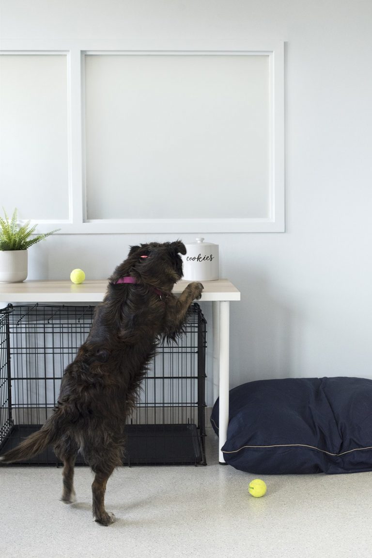 5 Ways to Love Being Home Right Now - Room for Tuesday