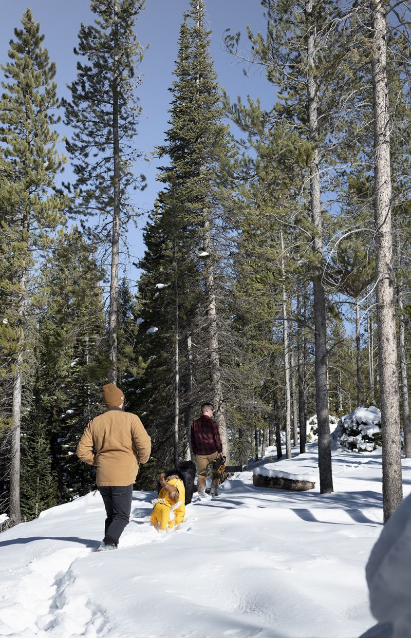 A Snowy Christmas Tree Adventure - Room for Tuesday