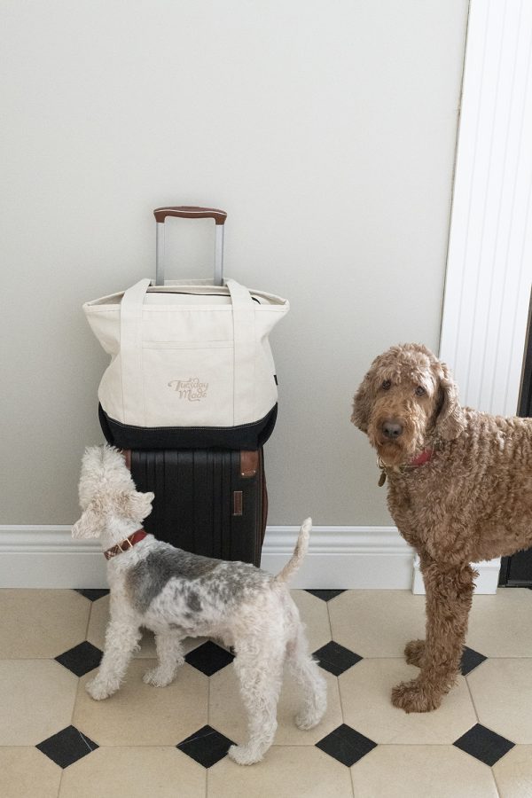 Happy Birthday + Free TM Totes - Room for Tuesday