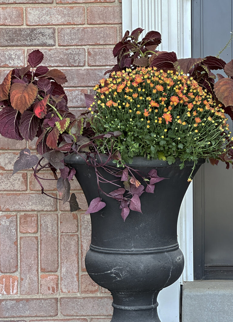 How to Create Beautiful Porch Planters for Fall - Room for Tuesday