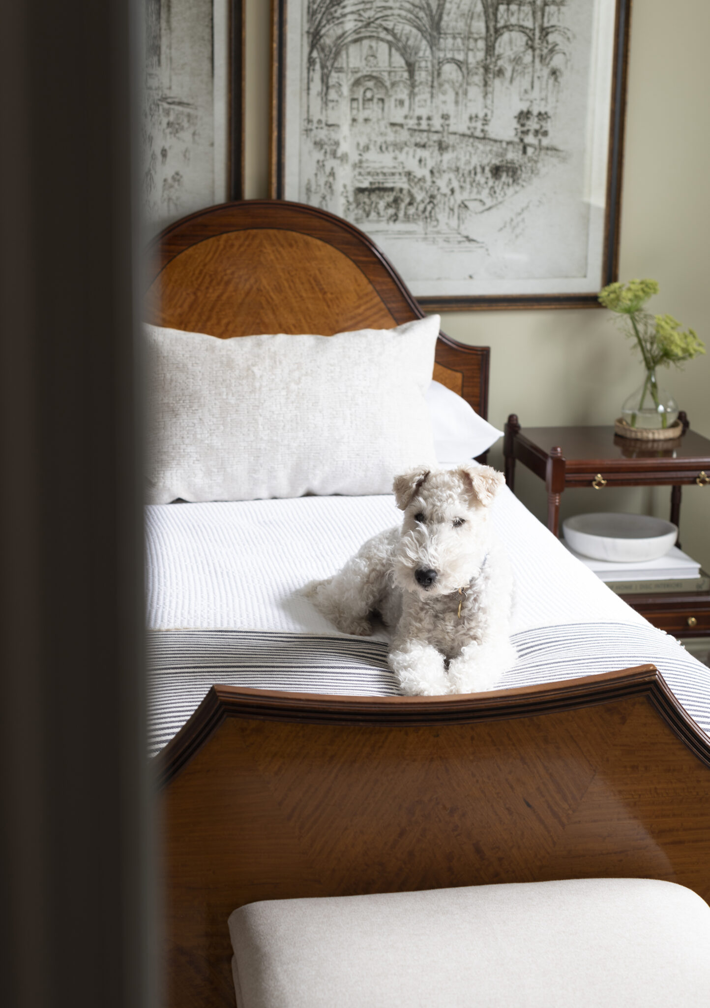 Timeless Furniture Finds from Wayfair (Designer Capsule Picks)