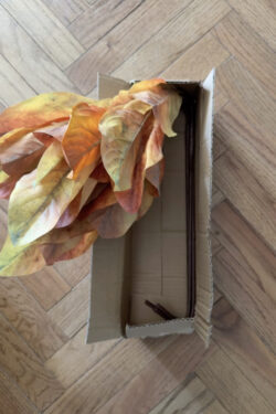The Best Fall Branches from Amazon (and How to Style Them)