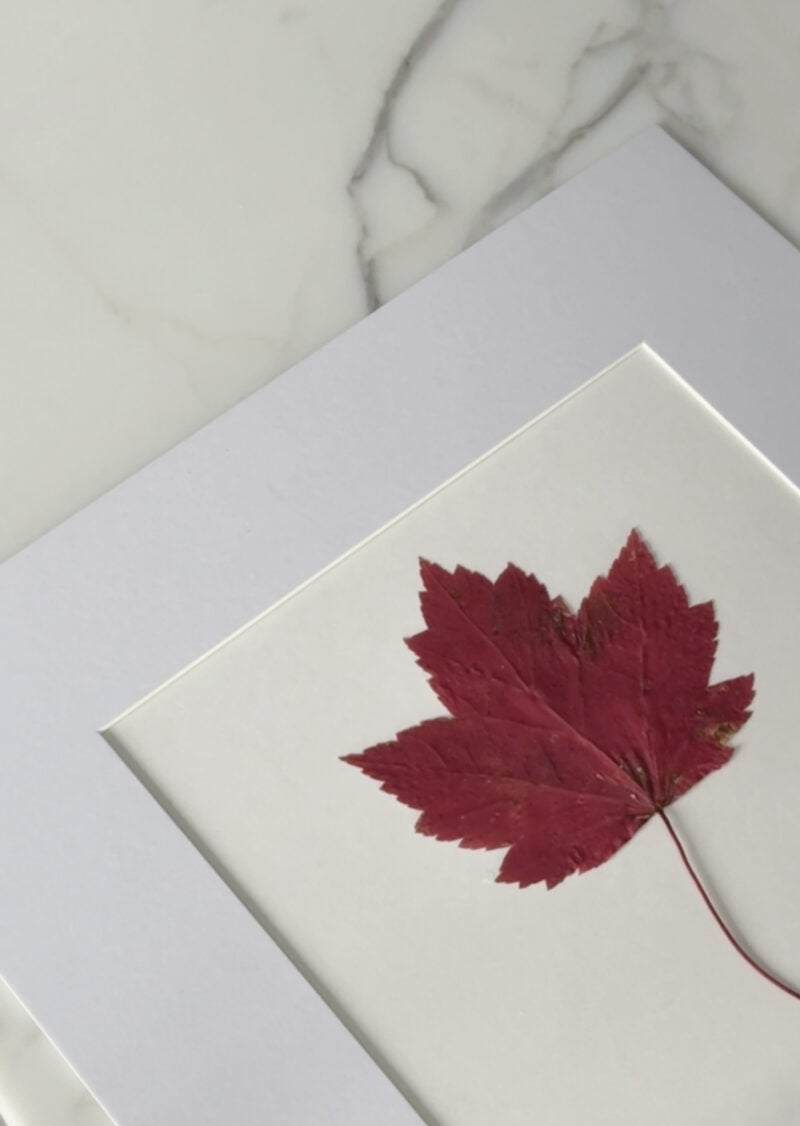 How to Make DIY Pressed Leaf Artwork for Fall - Room for Tuesday